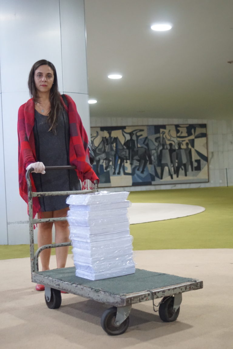 Perfil | Fernanda Melchionna